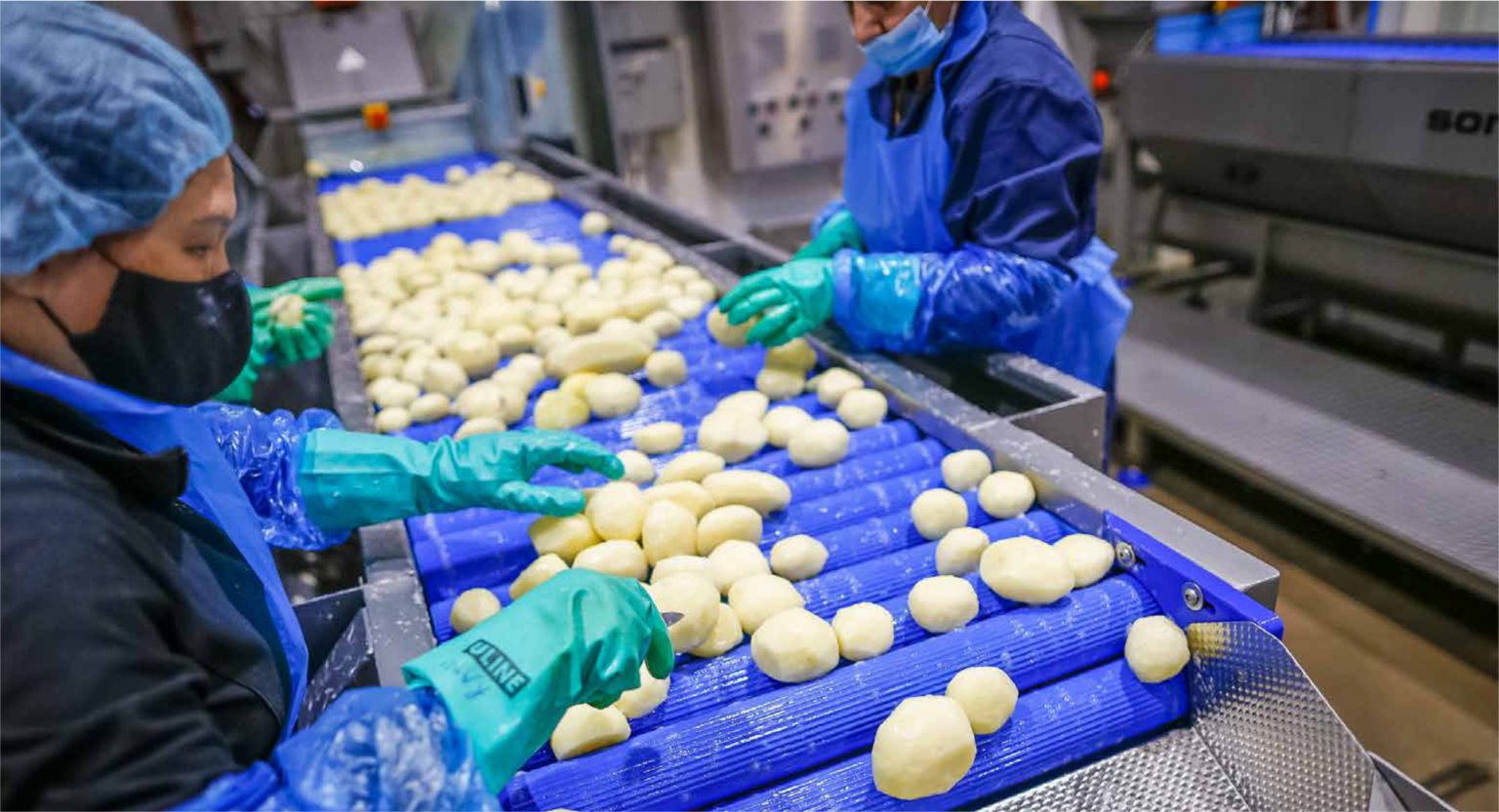 Our Companies | The Honest Potato