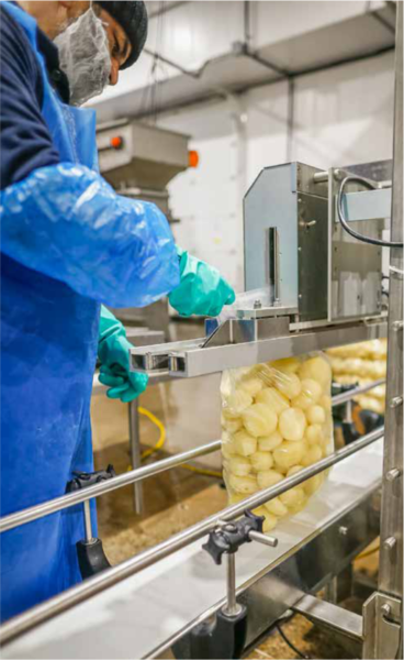 Our Companies | Honest Potato Co.
